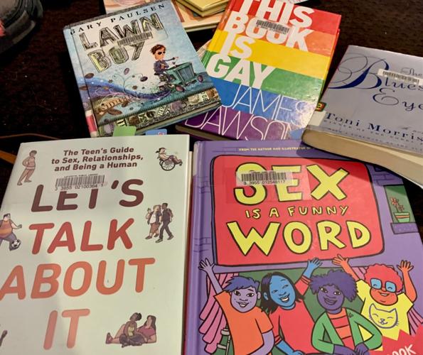 Lafayette library may limit sexually explicit book access | News ...