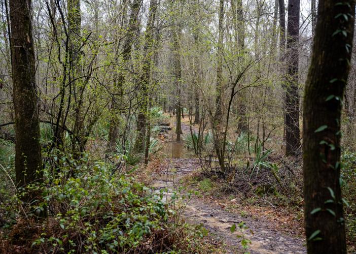 After delays, center to open in East Baton Rouge nature park ...