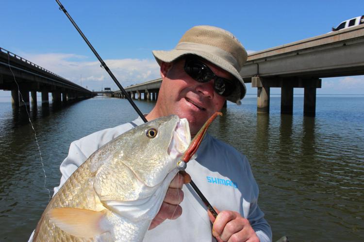 Strong speckled trout, redfish run hits Lake Pontchartrain Causeway ...