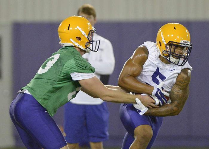 Photos: LSU's afternoon practice shows wide receivers, running backs ...