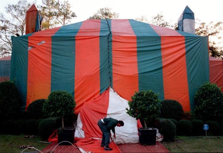 What to do when termites invade your home? This Q&A may help ...