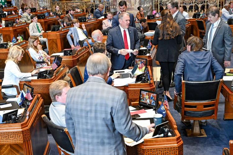 Senate confirms Louisiana's new head of juvenile justice | State ...