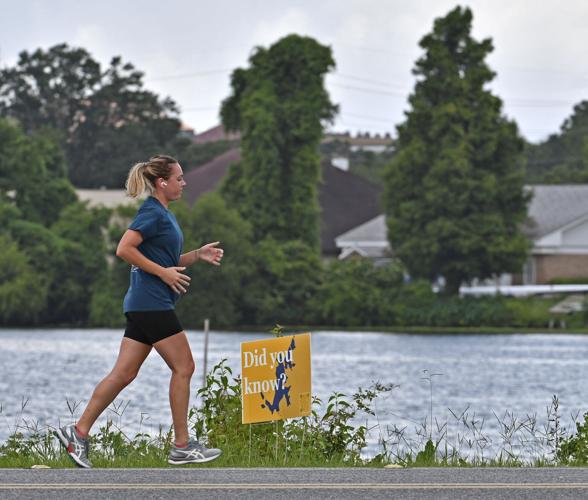 This 'valuable property' buried in LSU lakes might finance their pricey ...