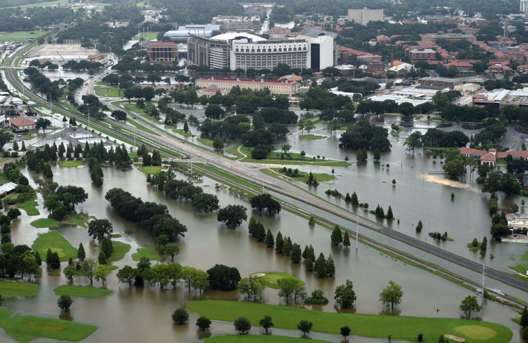 About 1,400 LSU students already moved in, starting school year off ...