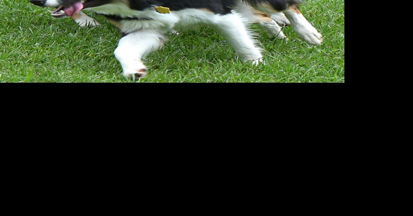 Smiley: Her gifts are from the heart | Smiley Anders | theadvocate.com