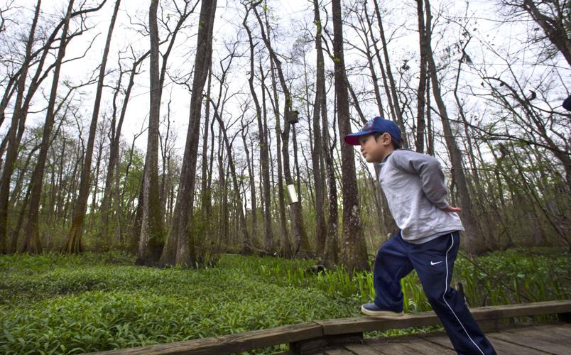 Photos: BREC's Bluebonnet Swamp Nature Center hosts annual 'Rockin' at ...