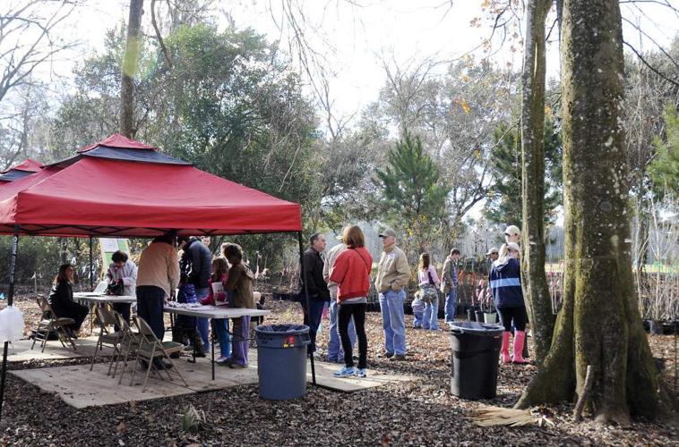 Tree planting a family affair, and tradition, at BR’s Burden Center ...