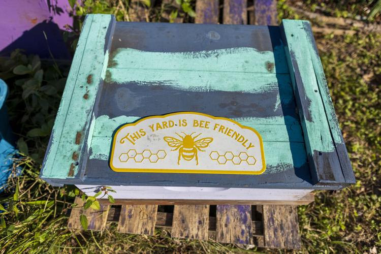 Bulbancha Blooms is a garden in New Orleans' Upper 9th Ward ...