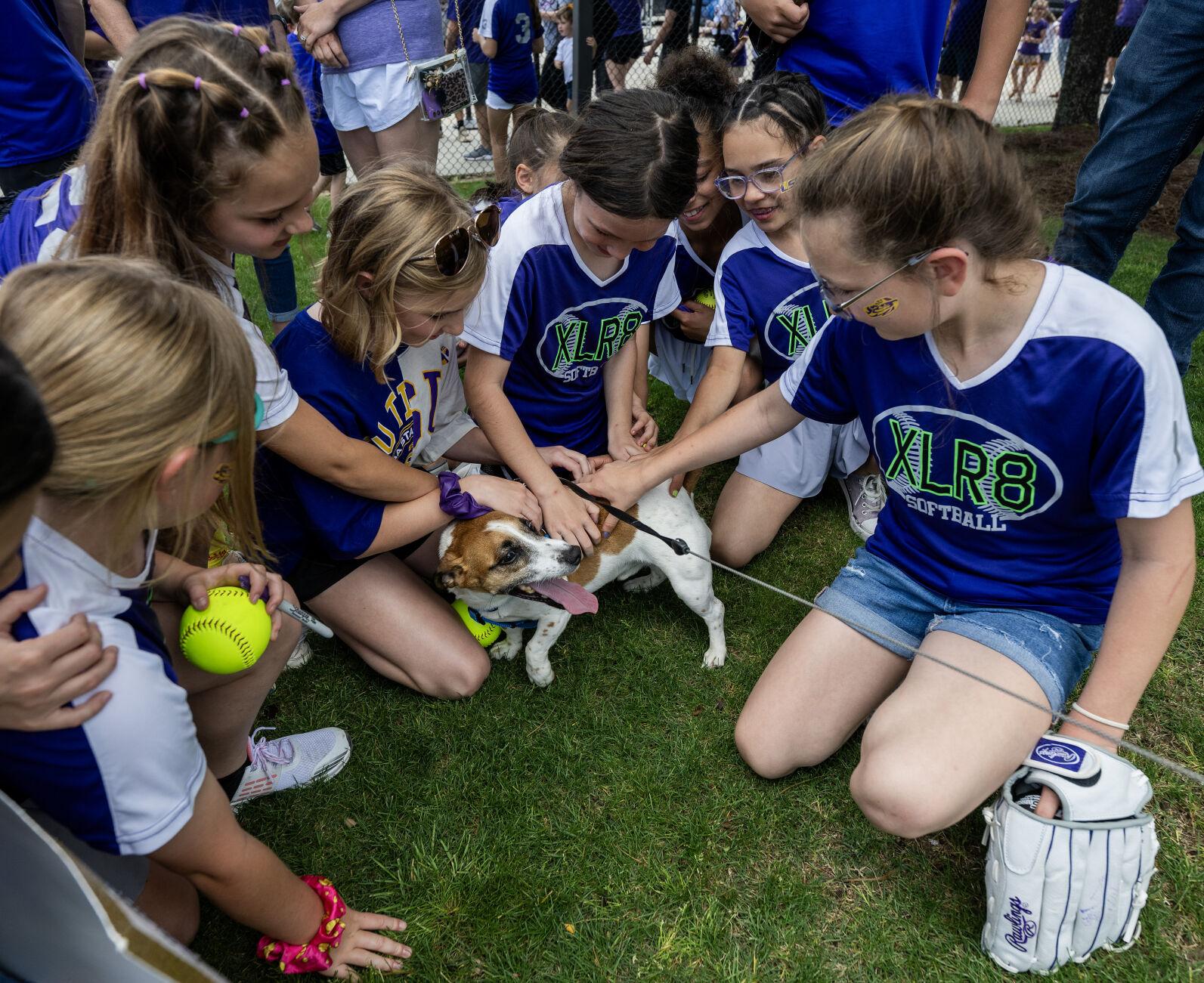 Photos: Bark In The Park | Baton Rouge | theadvocate.com