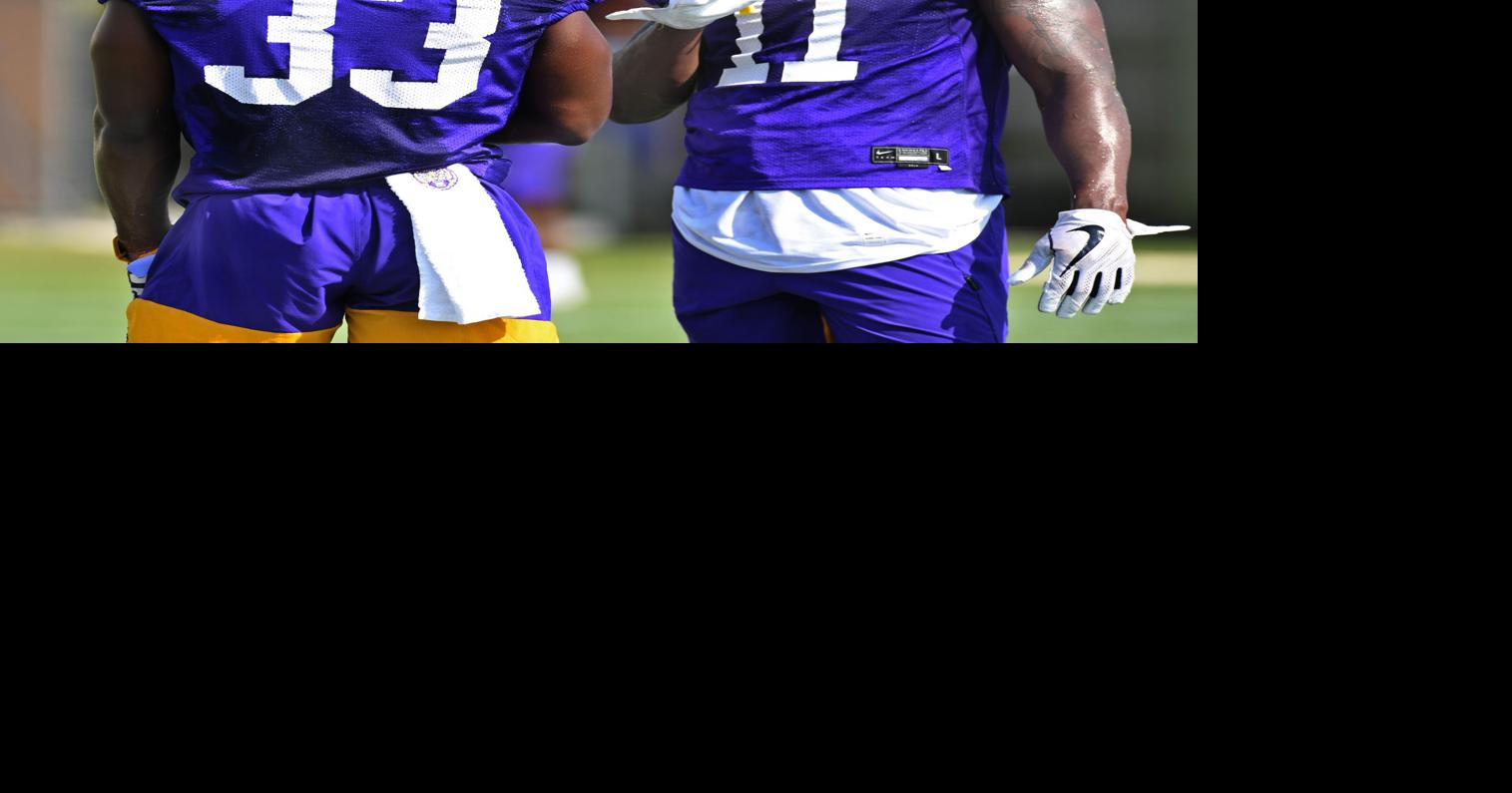 4 Downs: The Advocate's Wilson Alexander breaks down LSU-Georgia ...