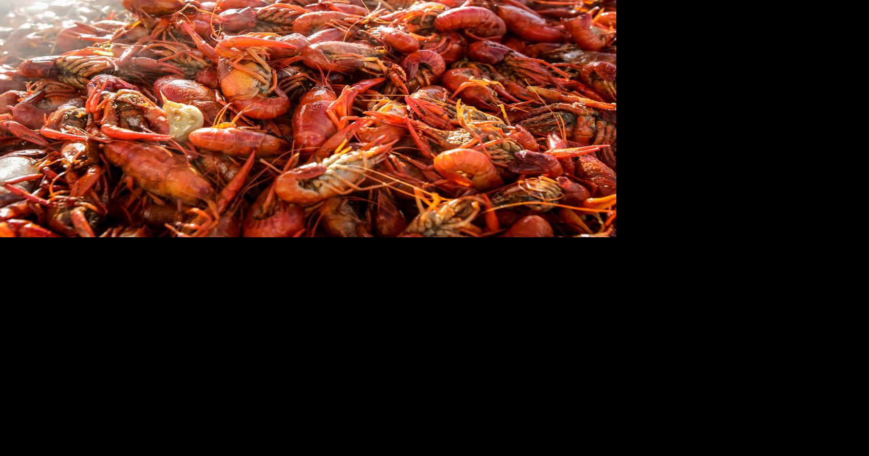 Eunice man accused of stealing 16 sacks of crawfish from a farmer's ...