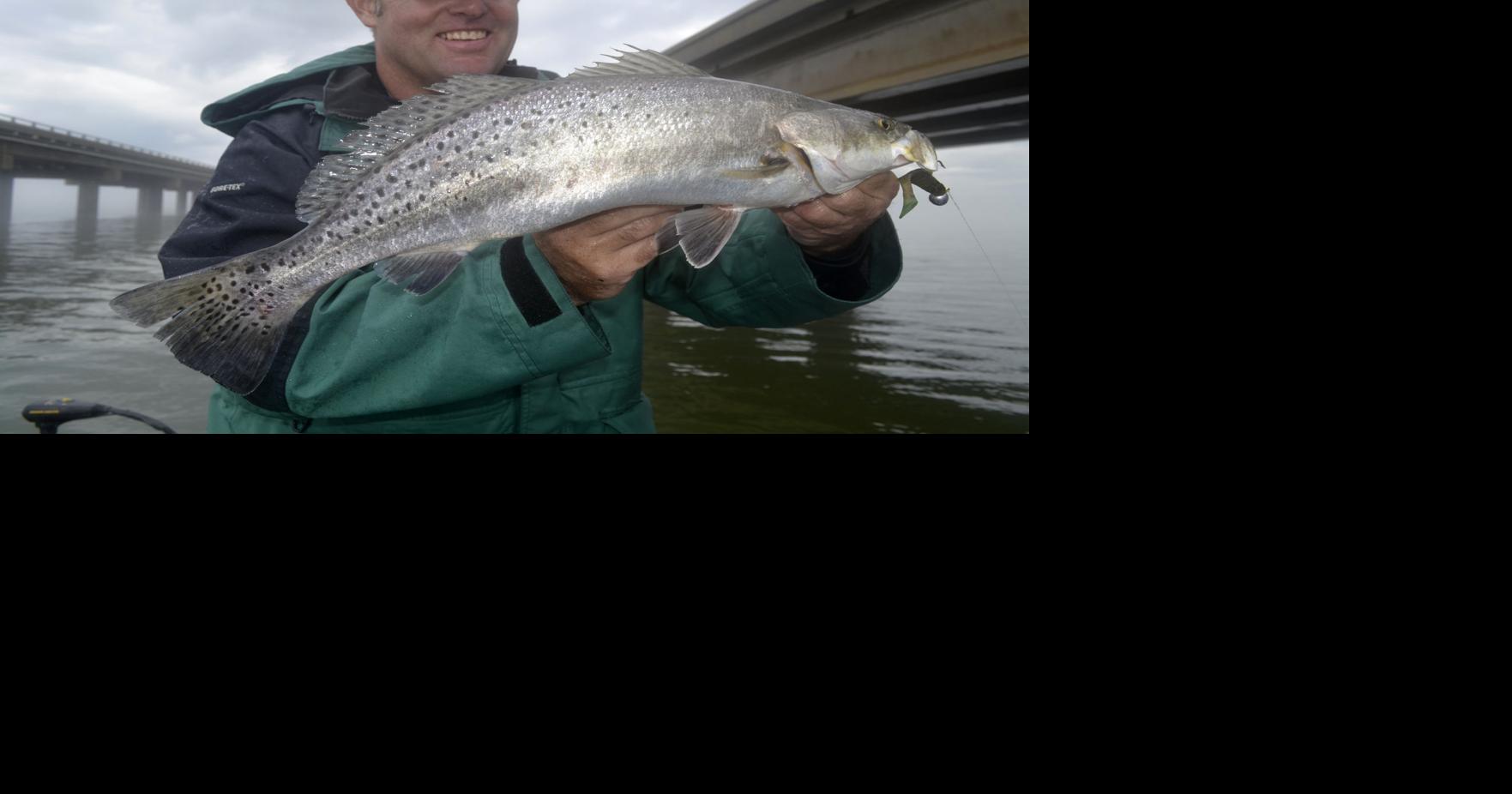 Lake Pontchartrain Causeway reaching its prime for big speckled trout ...