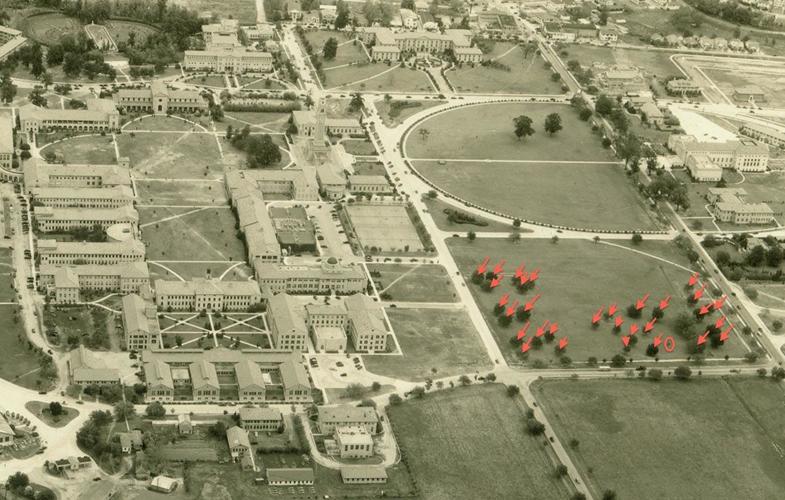 Remembering WWI: LSU professor seeks to breathe new life into campus ...