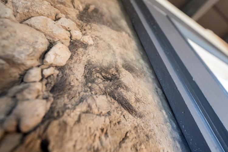 Carencro reclaims something old in new visitor's center | News ...