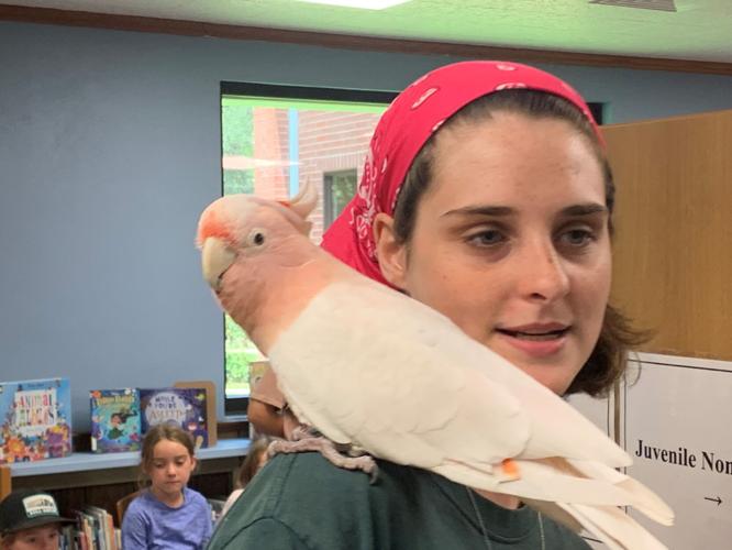 Barn Hill's animal ambassadors stop by the library | East Feliciana ...