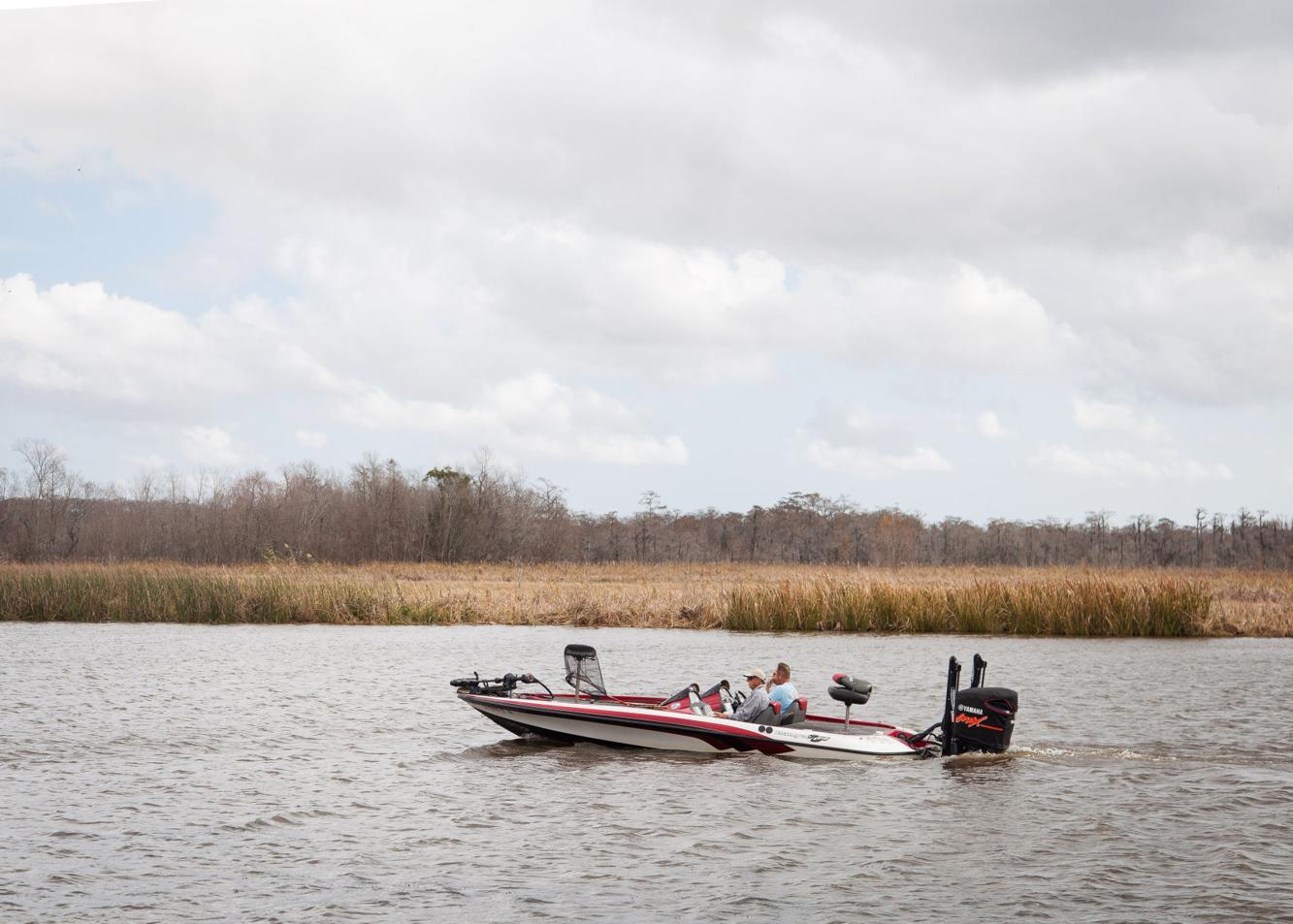Bayou Segnette State Park offers fishing, boating and more | Travel ...
