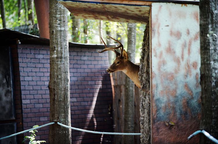 PHOTOS: The Fright Trail enhanced and expanded for 5th year of ...