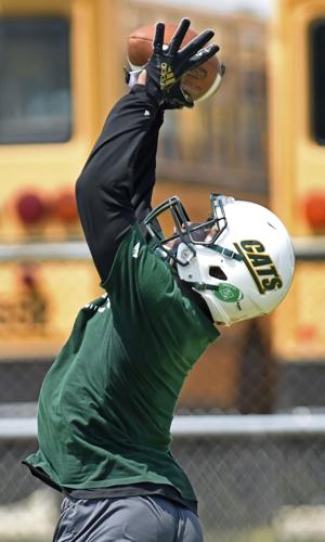 All is Wells: Livonia looks to senior quarterback Kerri Wells for ...