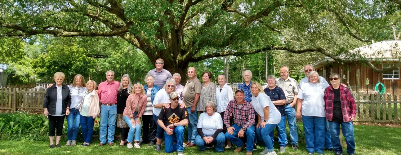 More than 60 Pittman descendants gather under Jackson oak trees to ...