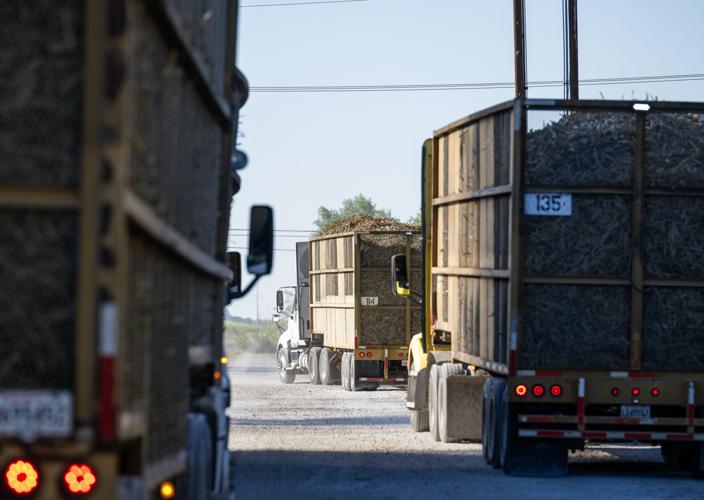Here's how sugar is made in Louisiana: inside a sugar mill | Baton ...