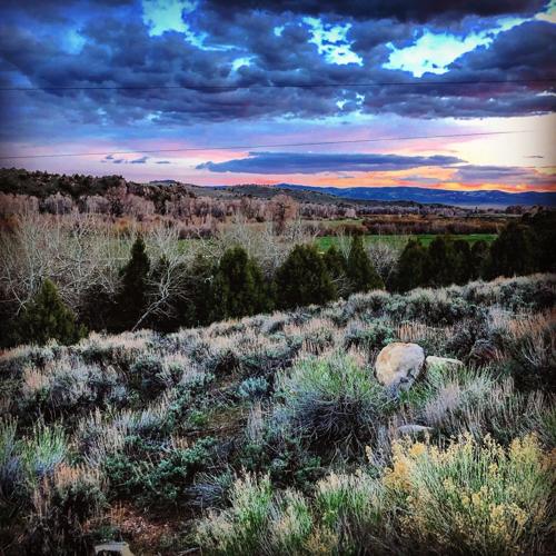 Jan Risher: Enjoying two springs and the inspiration of other artists ...