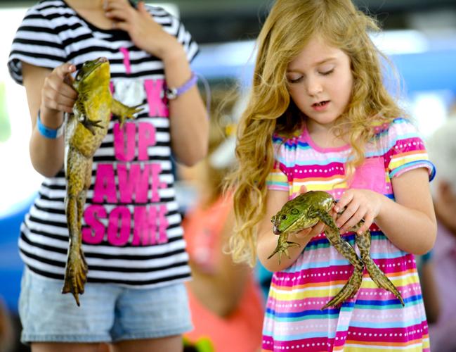 Photos: The 45th annual Rayne Frog Festival | Photos | theadvocate.com