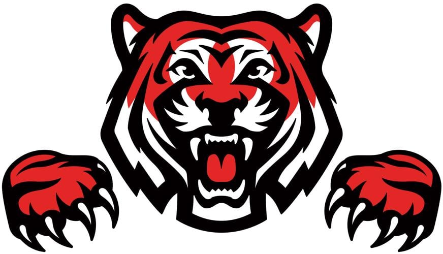 Donaldsonville High School develops new sports logo | Ascension ...