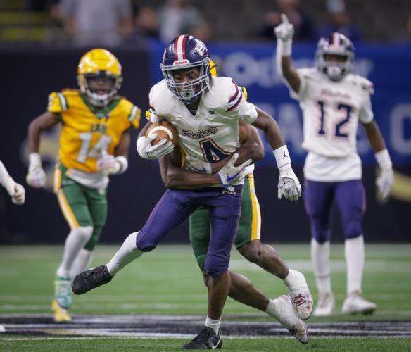 Southern Lab rallies past Riverside to win DIV select title | High ...