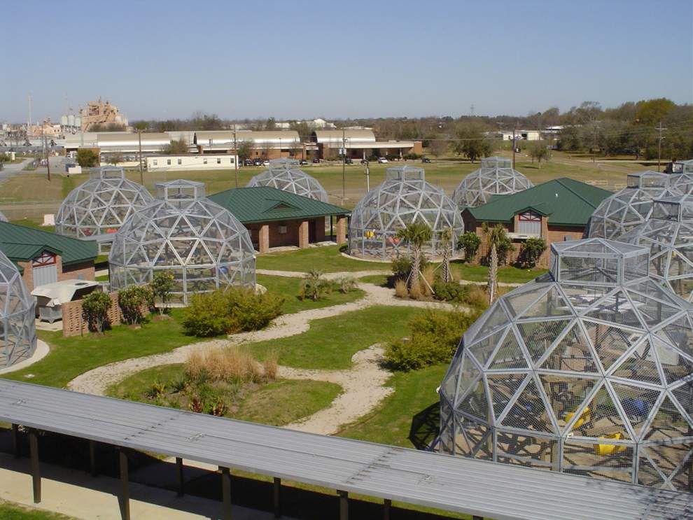 USDA files complaint over primate treatment at New Iberia facility ...