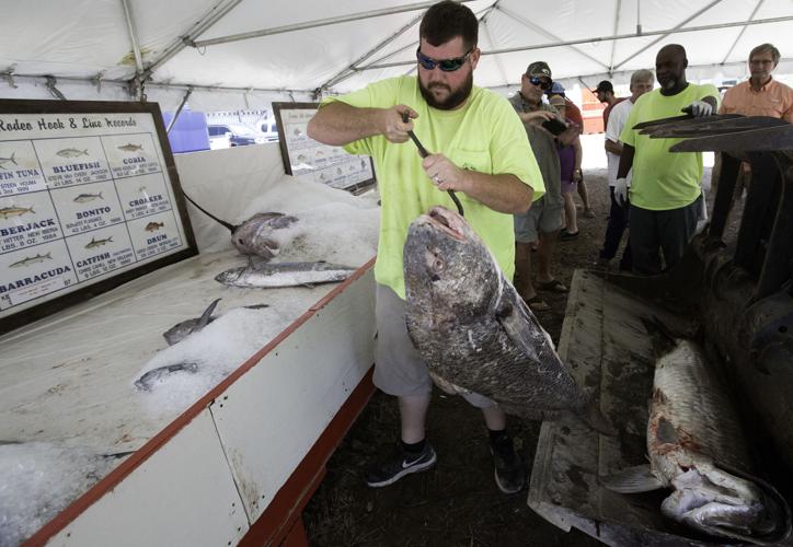 Photos: Grand Isle Tarpon Rodeo | | theadvocate.com