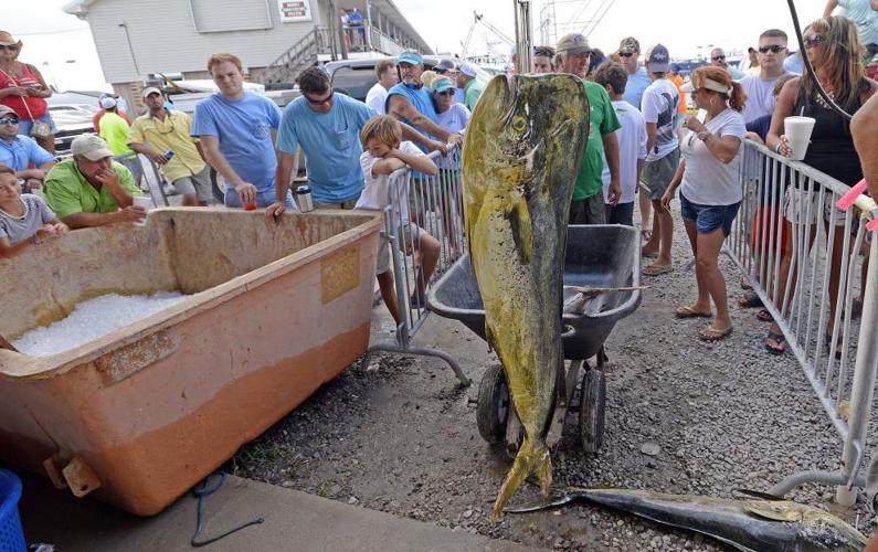 Photos: Grand Isle Tarpon Rodeo Day 4 | News | theadvocate.com