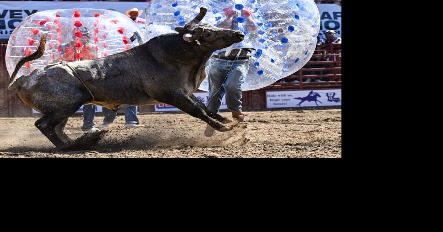 Angola rodeo brings tourists for last remaining prison rodeo | Business ...