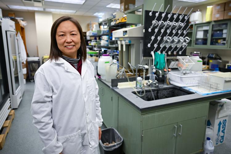 LSU researchers utilizing staph bacteria to fight cancer | Education ...