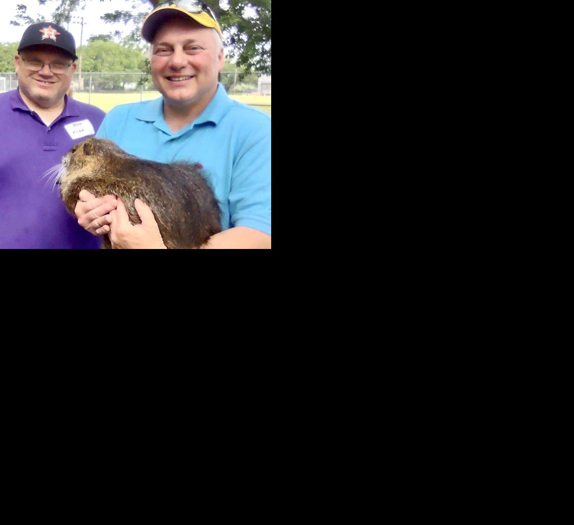 Neuty, Bucktown’s star nutria visits Louisiana State Capitol | News ...