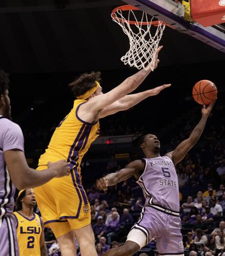 LSU men's basketball mines local guard from transfer portal | LSU ...