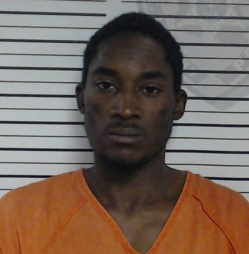 Man arrested after dead horse, 3 dead dogs found on his property in ...