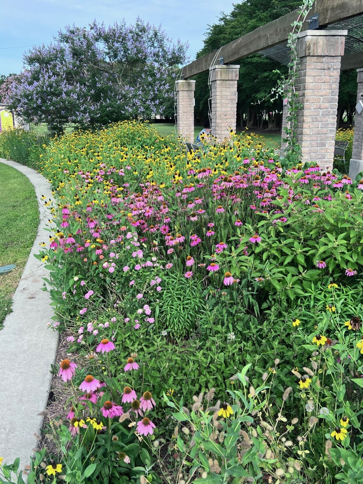 If you're going butterfly hunting, here's a perfect spot | Home/Garden ...