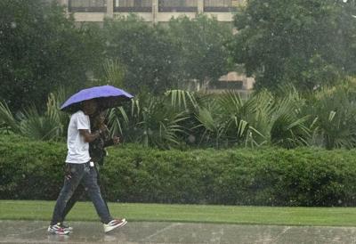 Too much rain can hurt gardens. Here's what to watch for ...