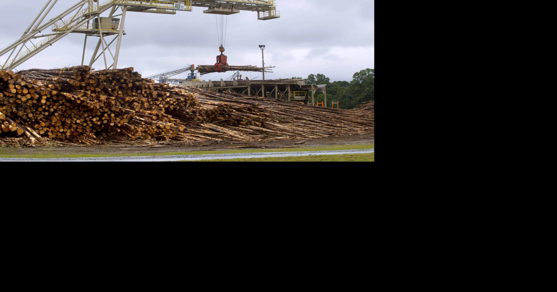 Drax winning bidder for bankrupt LaSalle Parish plant that will export ...