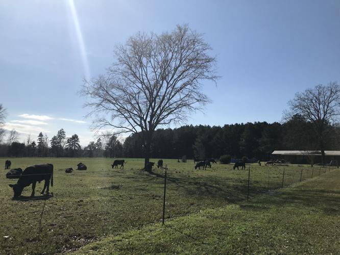 Darlington Dam dilemma: Should they sacrifice rural way of life to ...