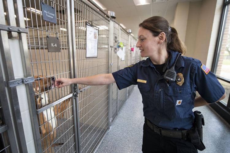 Animal Control faces more dangerous dog complaints | Crime/Police ...