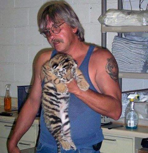 Photos: Baby Mike VI, then Roscoe, was a cuddly, lovable tiger cub ...