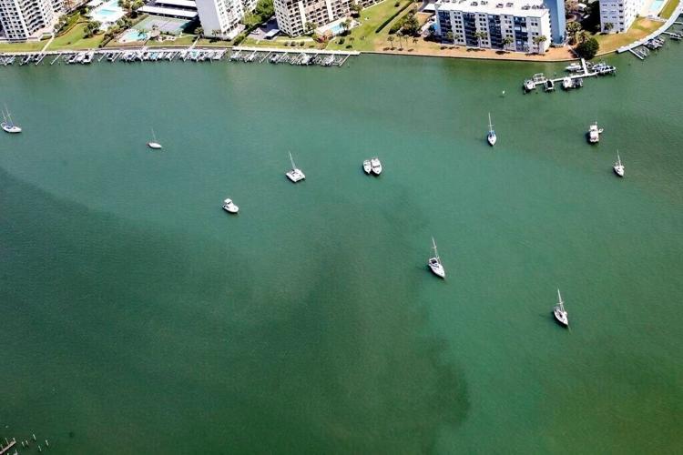 Is red tide dangerous? What to know about the harmful algae ...