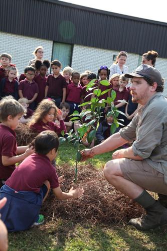 Shenandoah Elementary plants satsuma trees as new City Citrus site ...