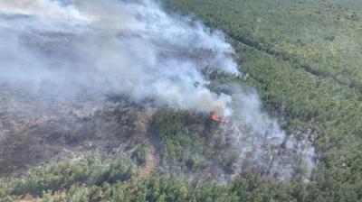 Seasonal fog, swamp fires create dangerous conditions | Environment ...
