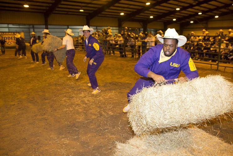 Cowboy hats and rodeo games, LSU Tigers get into Texas spirit during ...