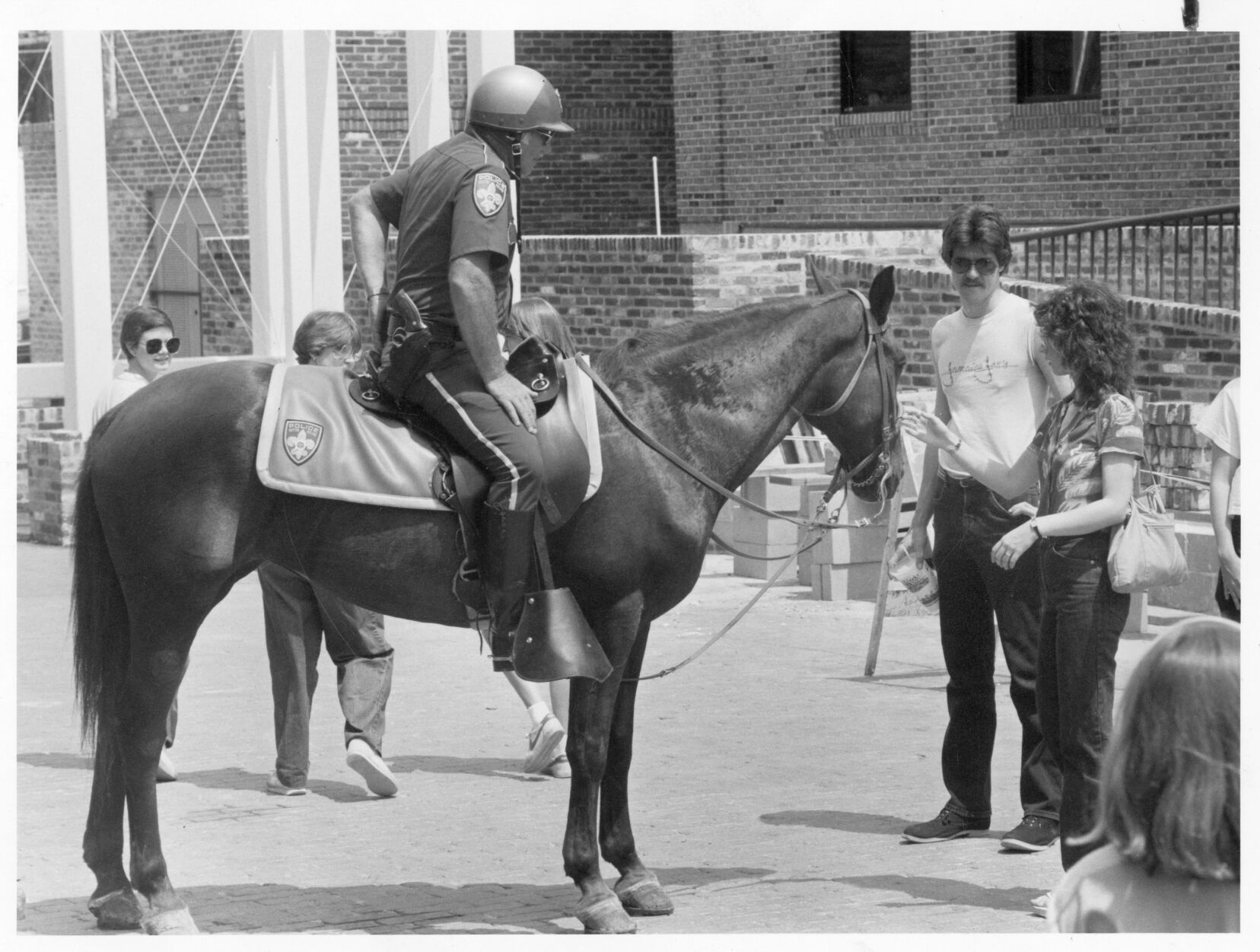 Baton Rouge disbands mounted horse unit, horses retired | Crime/Police ...