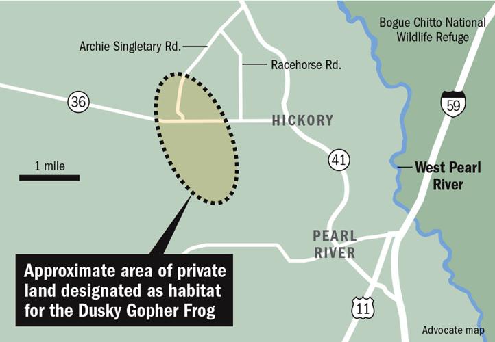 In Louisiana dusky gopher frog case, U.S. Supreme Court overturns lower ...