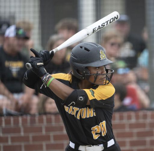Meet the Baton Rouge area's 2024 All-Metro softball teams | High School ...