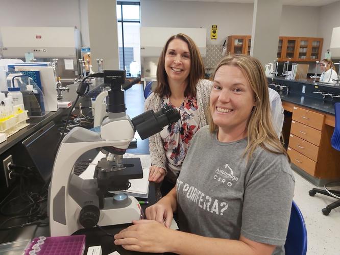 BRCC sponge research project breaks ground, opens doors | Louisiana ...